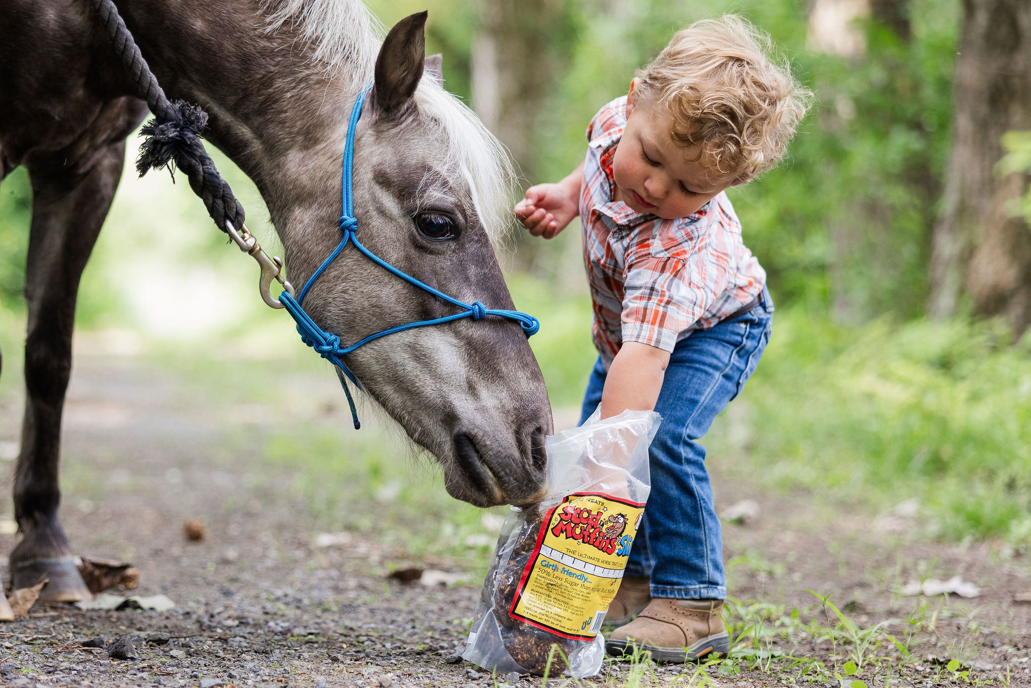 Our Products – Stud Muffins